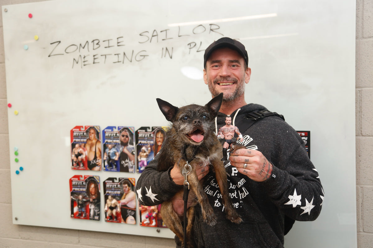 CM Punk Joins Wrestling's Heels and Faces! – Zombie Sailor's Toys